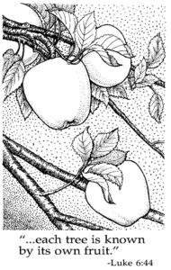 9 fruits of the spirit – Bridge to the Bible